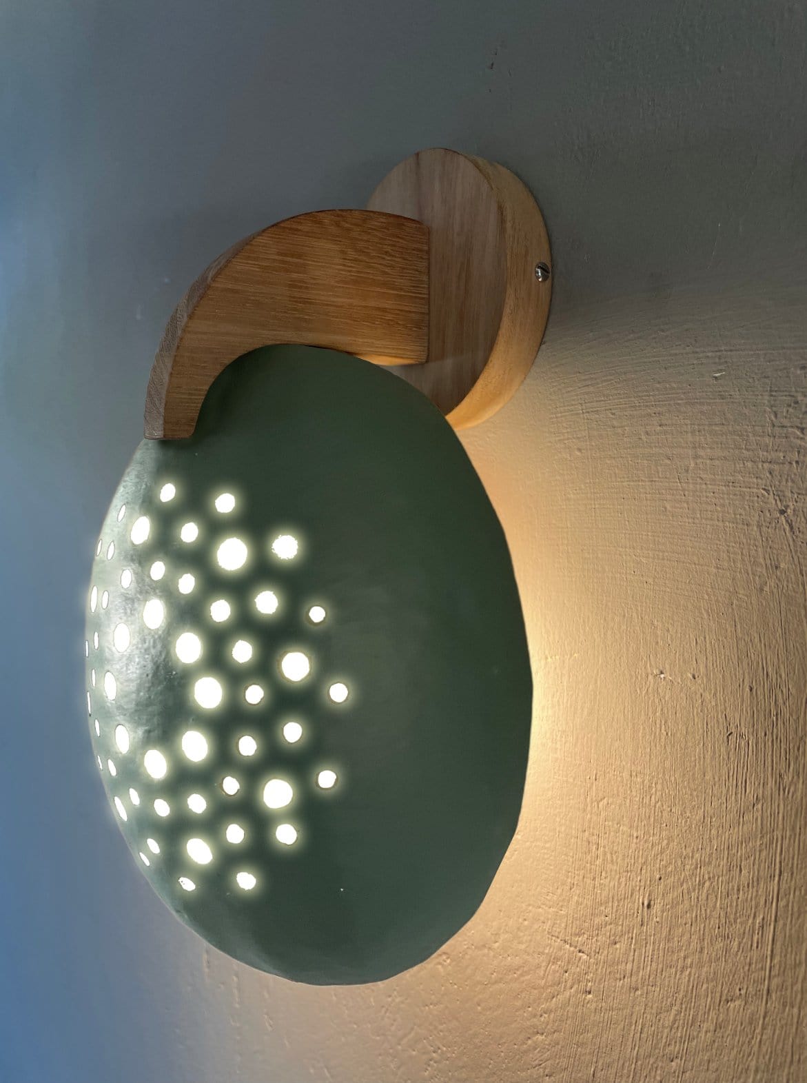 Modern Baobab Wall Light - Eco-Friendly Fruit Shell with Soft Ambient ...