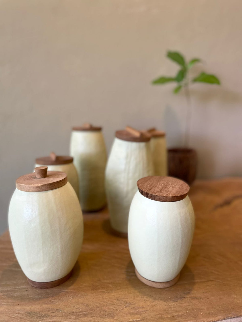 Artisanal Baobab Storage Jar - Eco-Friendly Fruit Shell with Unique Af ...